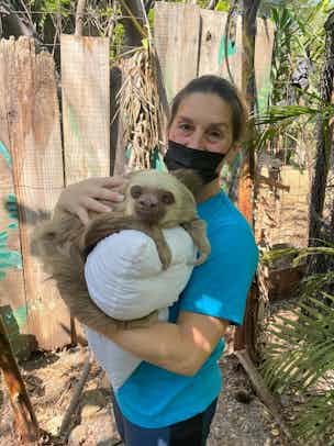 20 reasons to volunteer in a Sloth Sanctuary in Costa Rica
